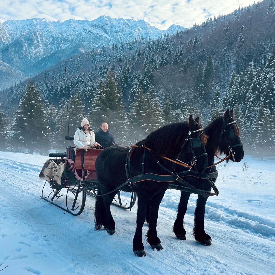 Carriage Ride – Popasul Craiului (Zarnesti). Horse-drawn Carriage Ride ...